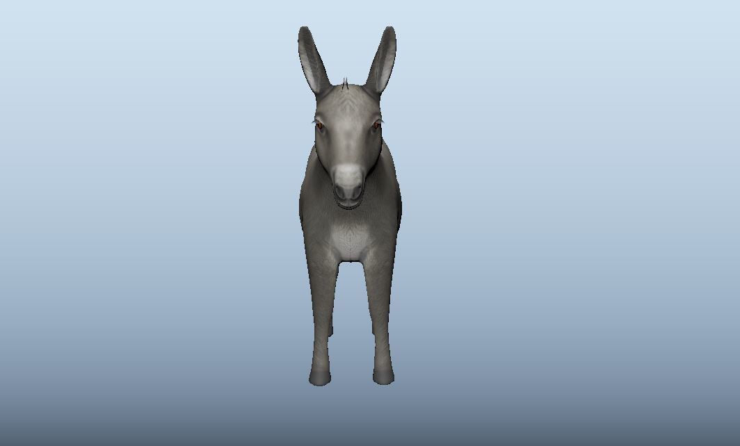 3D model Donkey Animated VR / AR / low-poly | CGTrader