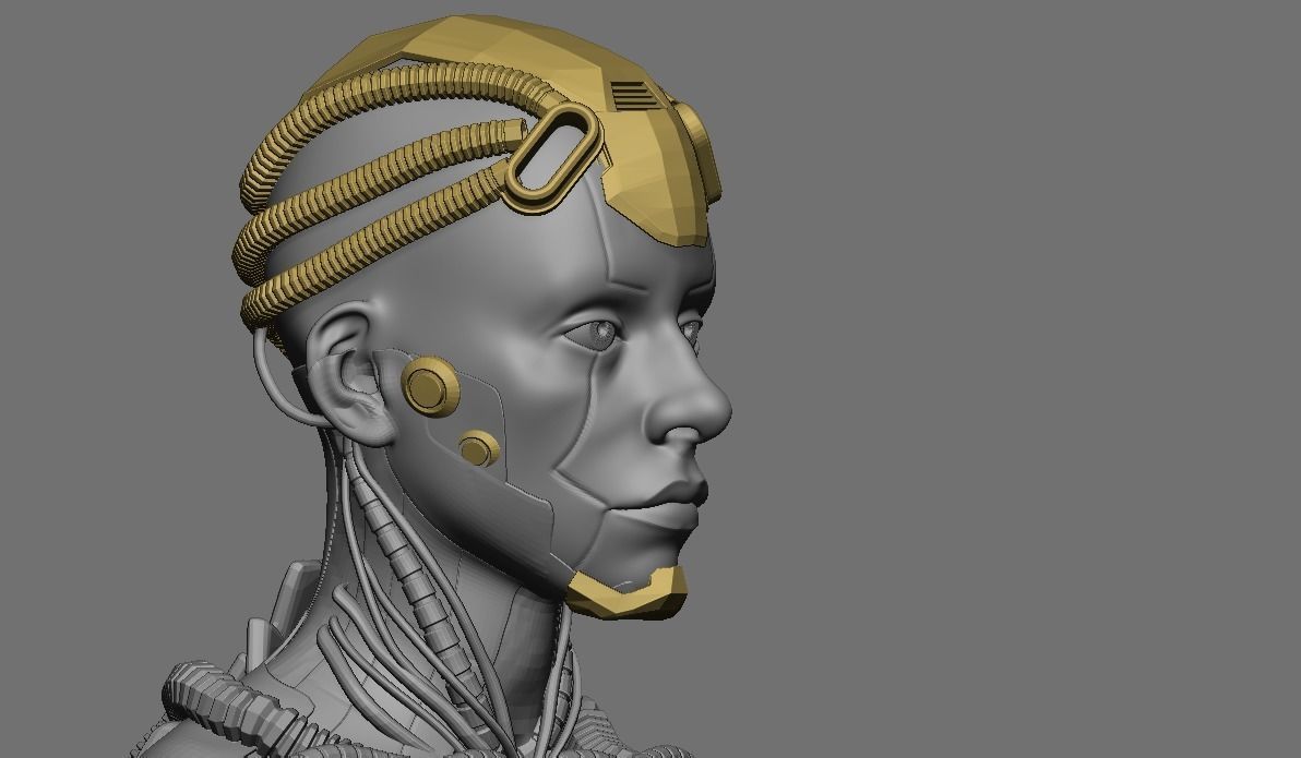 high poly female Cyborg robot 3D model | CGTrader