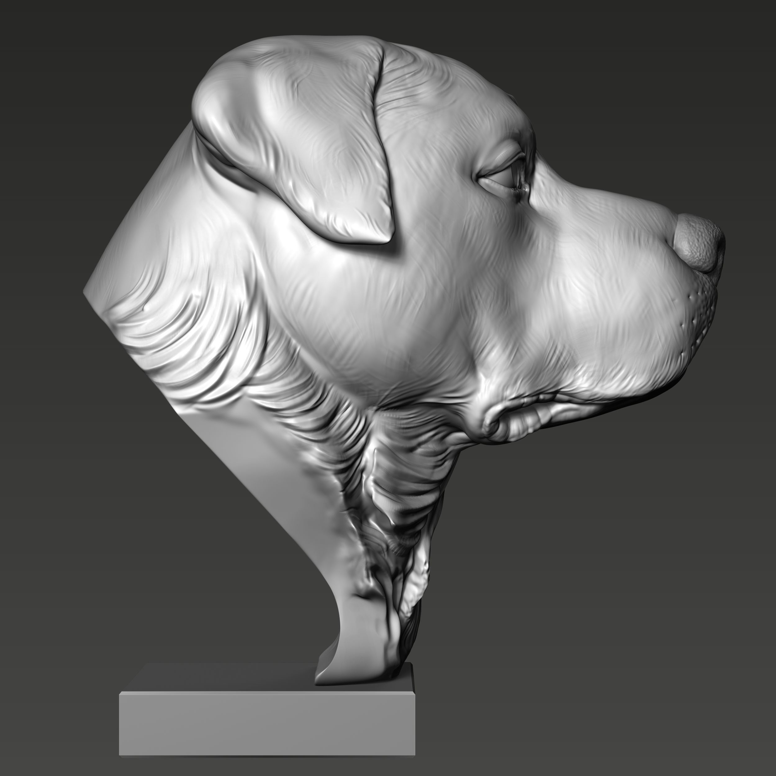 Rottweiler Head Sculpture 3D model 3D printable | CGTrader