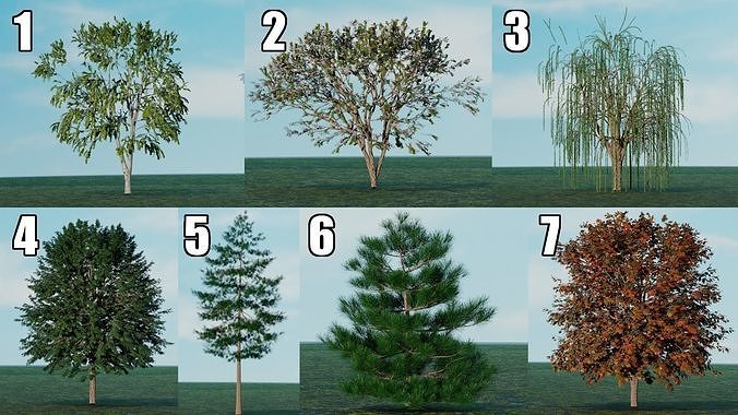 Realistic Tree Pack I Detailed Trees free 3D model | CGTrader