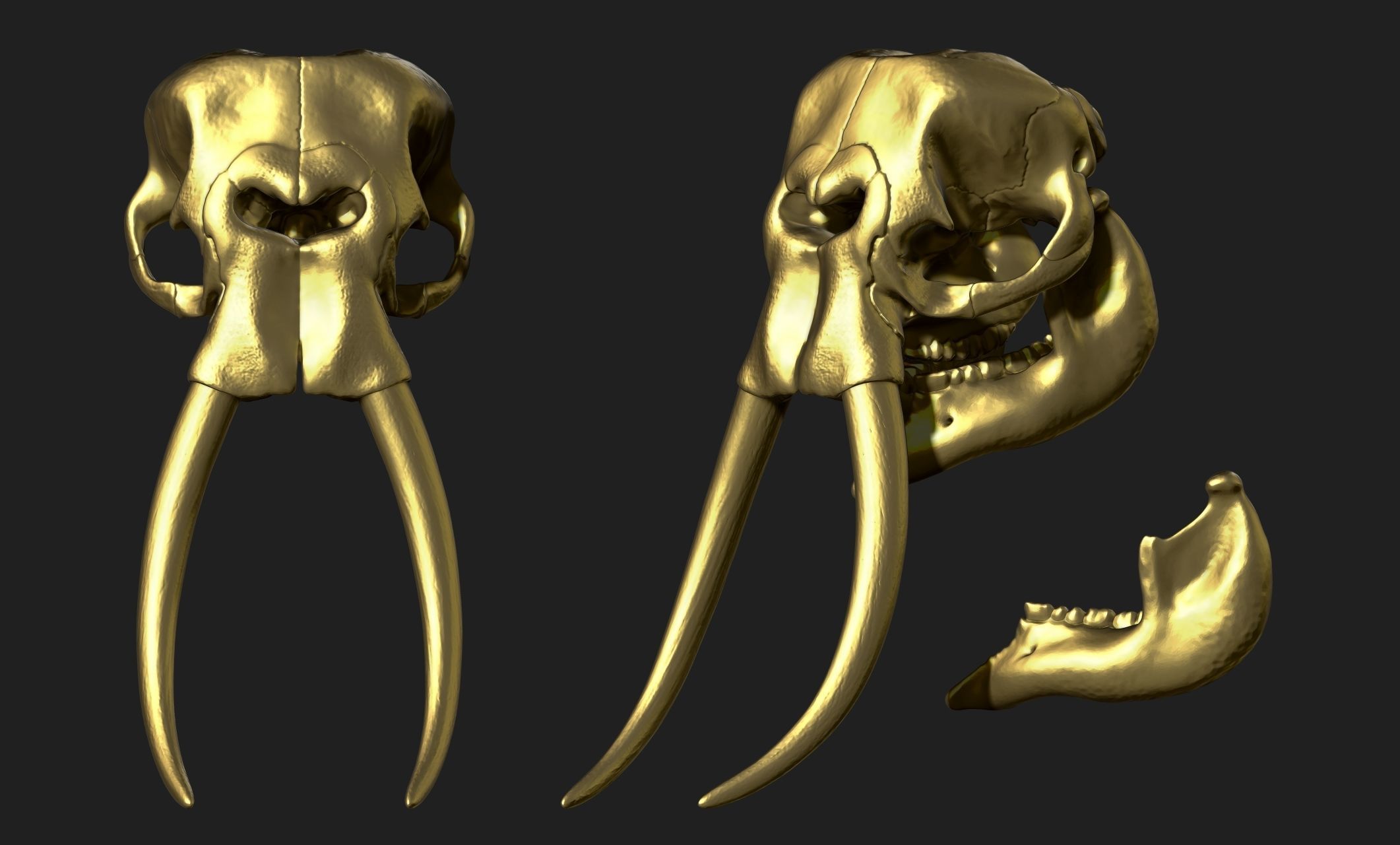African Elephant Skull - Loxodonta Africana - CNC and 3D model 3D ...