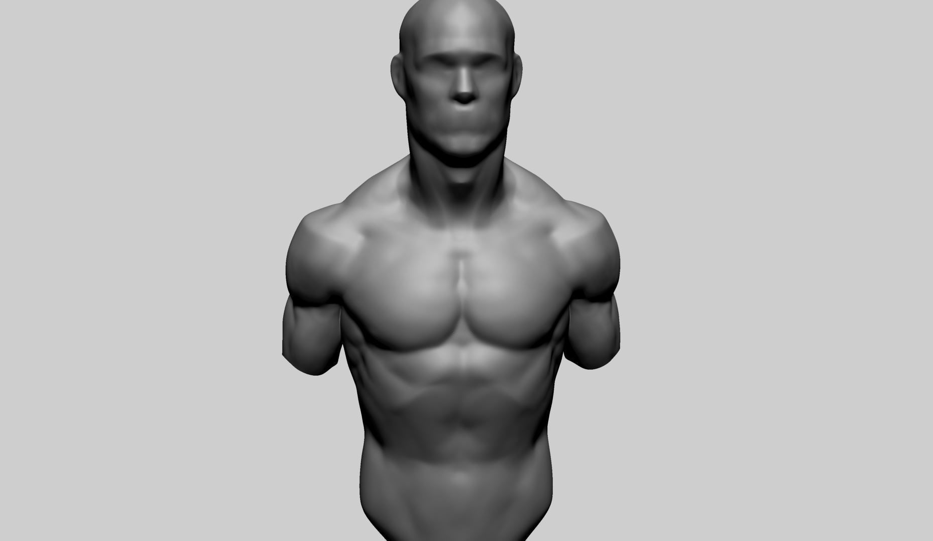 Male Upper Body A 3D model | CGTrader