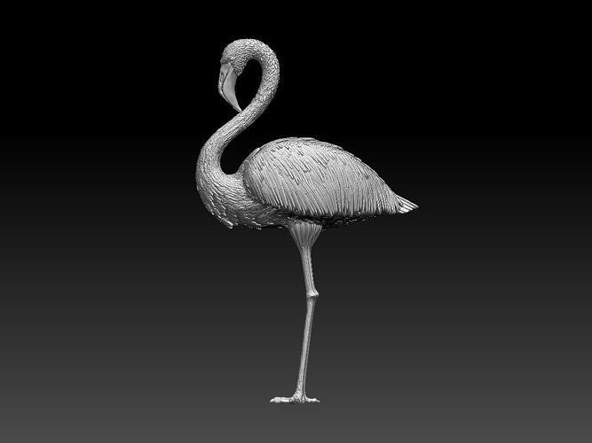 flamingo 3D model 3D printable | CGTrader