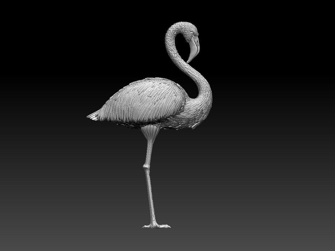 flamingo 3D model 3D printable | CGTrader