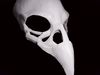 RAVEN SKULL MASK free 3D model 3D printable | CGTrader