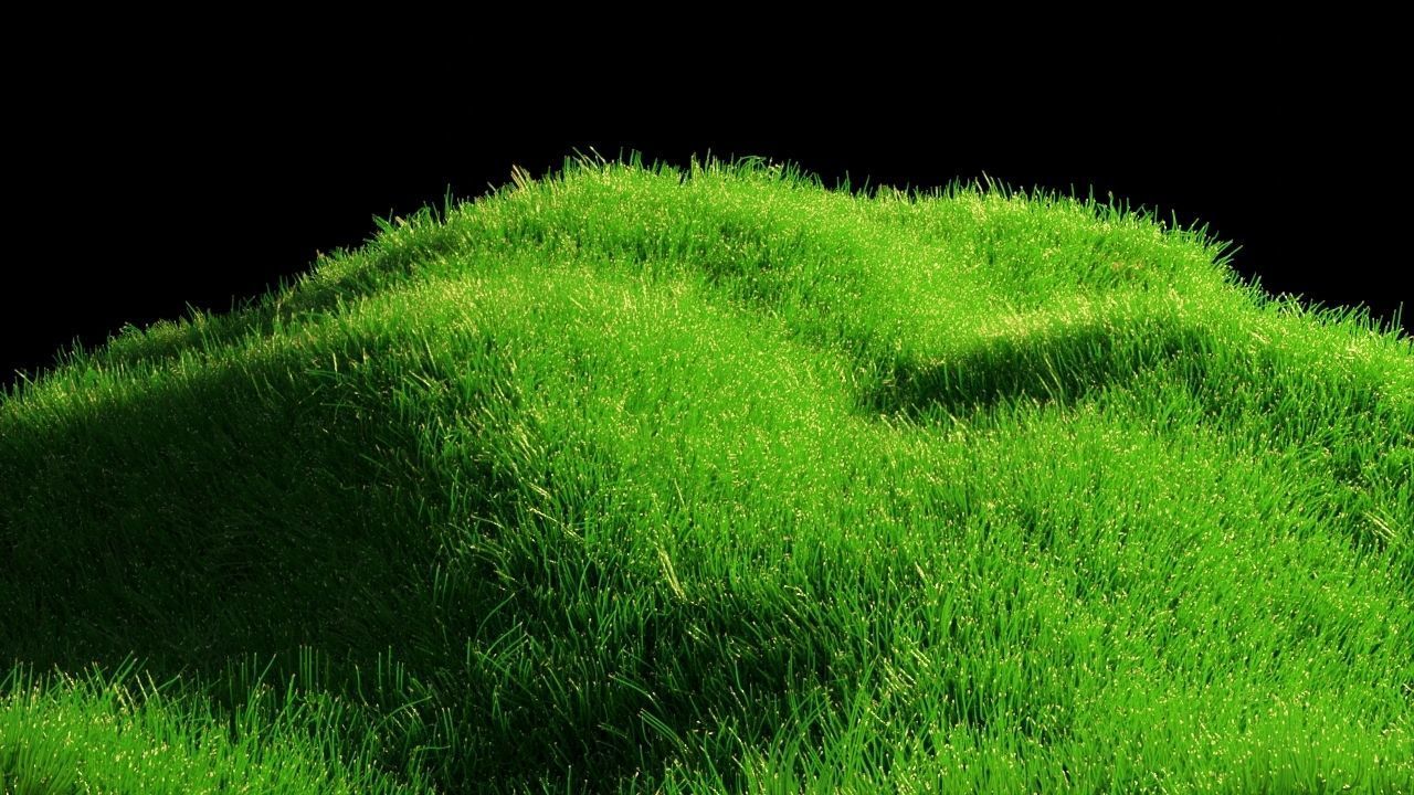 3d Model Blender Realistic Grass With Particle System Vr Ar Low