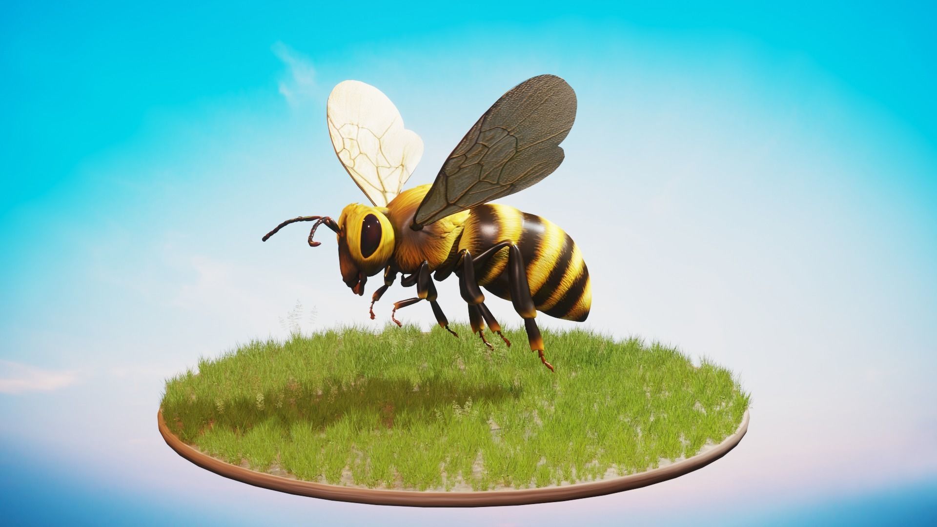 3D model Honey Bee Animated Rigged VR / AR / low-poly | CGTrader