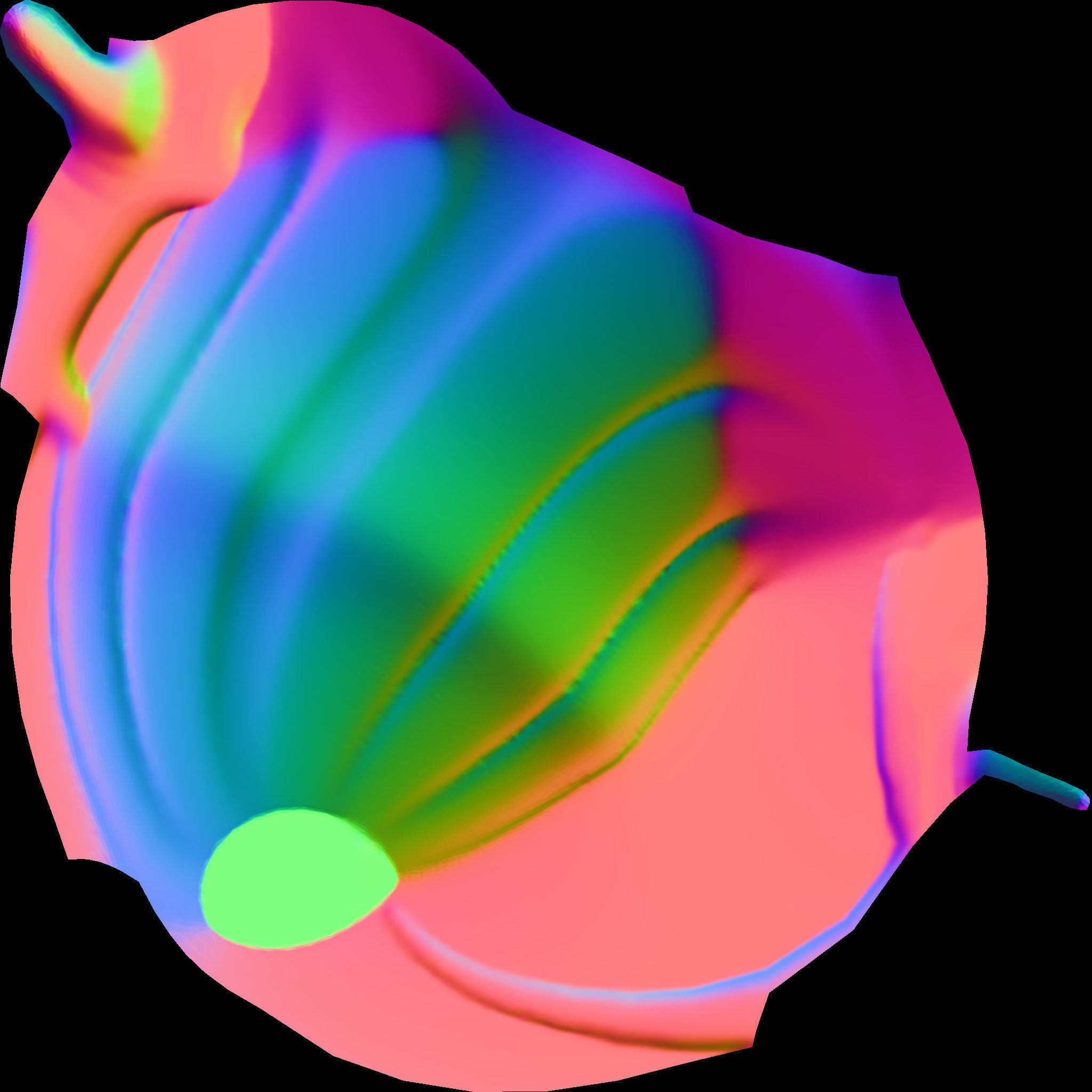 Neuro and Optic Anatomy 3D model | CGTrader