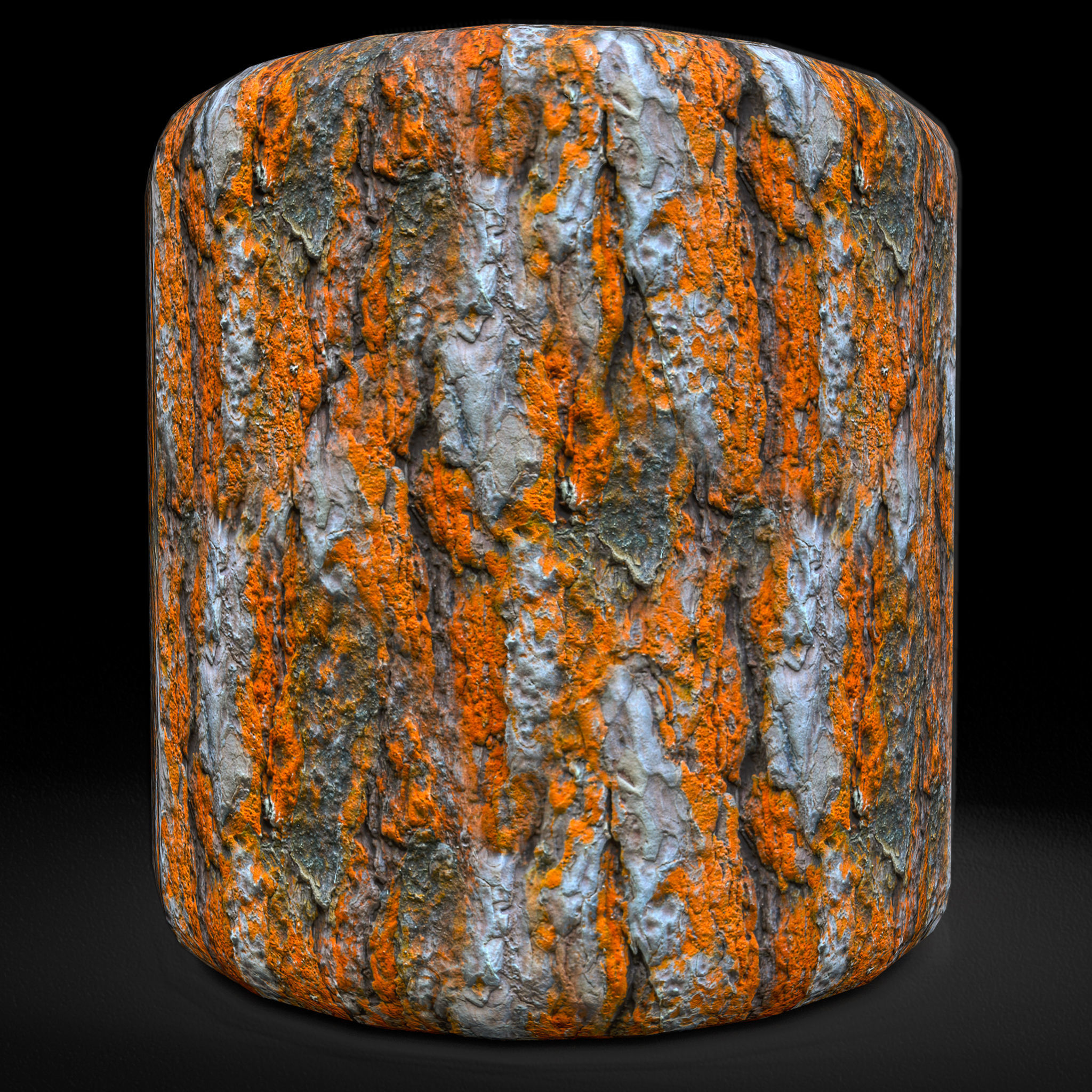 Texture Wood Bark Texture 4K VR / AR / low-poly | CGTrader
