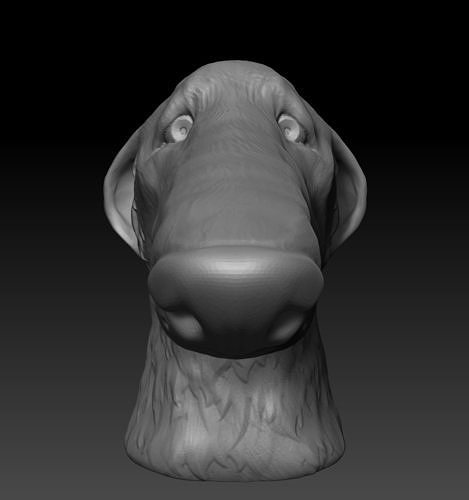 Borzoi Meme Dog head 3D model 3D printable | CGTrader
