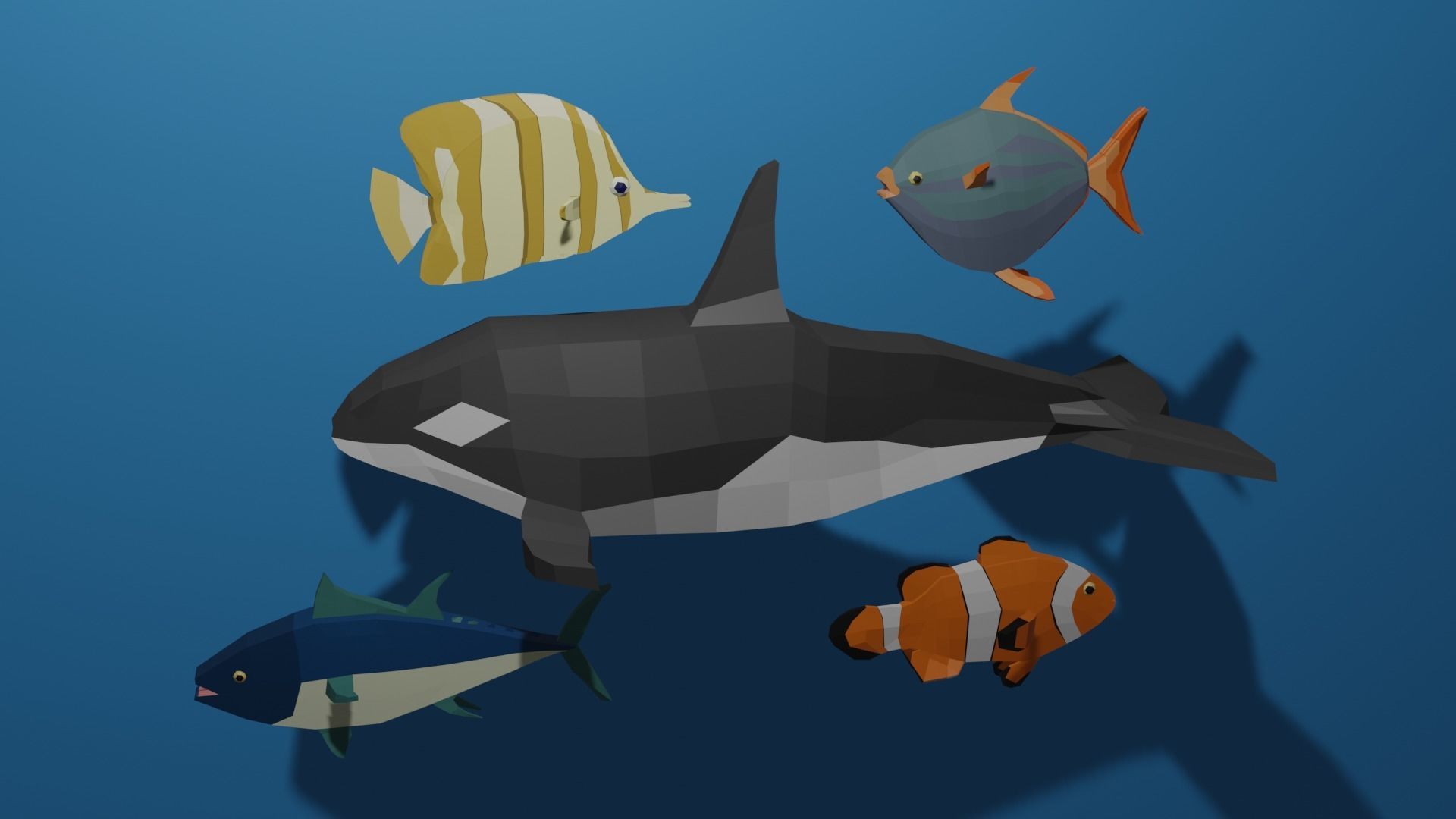 3D model Fish pack - Pack de peces - Lowpoly VR / AR / low-poly | CGTrader