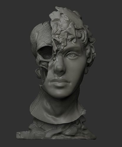 Half Face and Half Skull 3D model | CGTrader