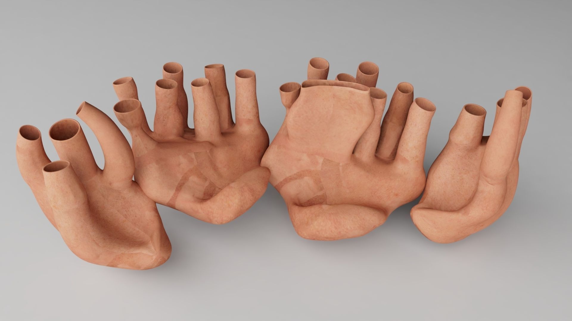 Endoplasmic Reticulum 3D model animated | CGTrader