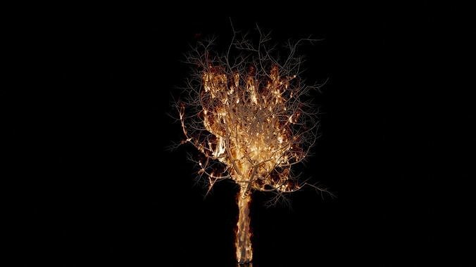 Tree burning fire animation 10 sec 300 frames 3D model animated | CGTrader