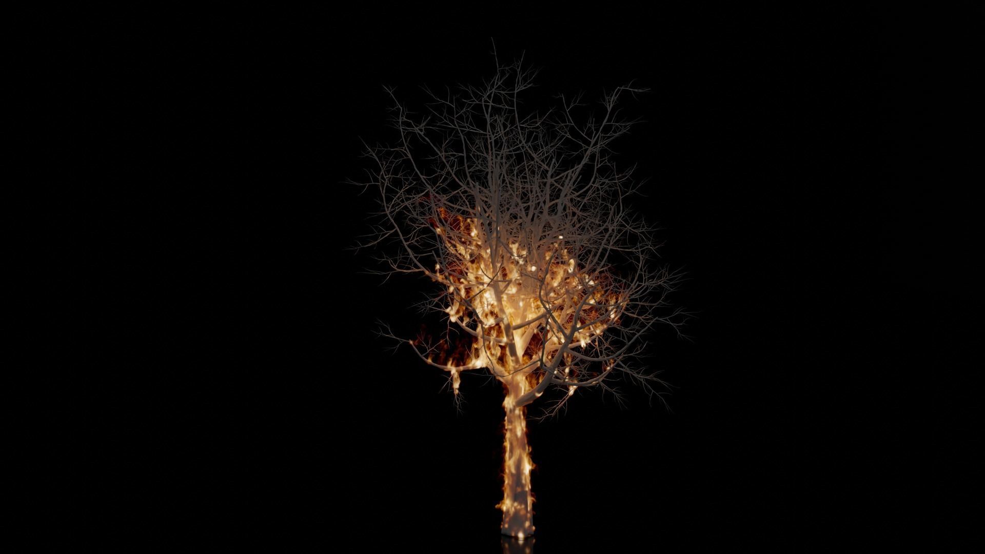Tree burning fire animation 10 sec 300 frames 3D model animated | CGTrader