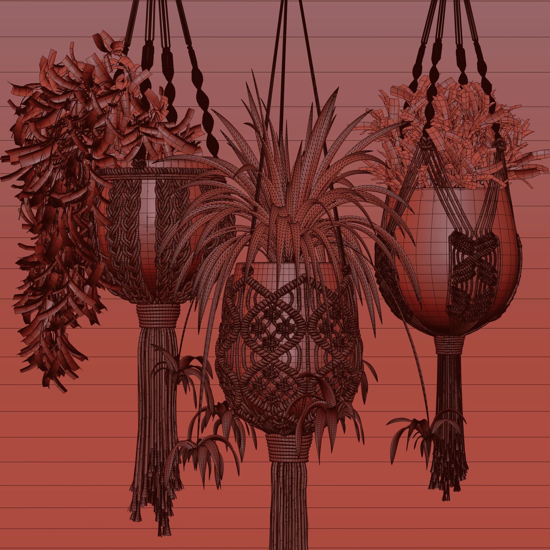 Macrame Plants Hanger 3D model | CGTrader
