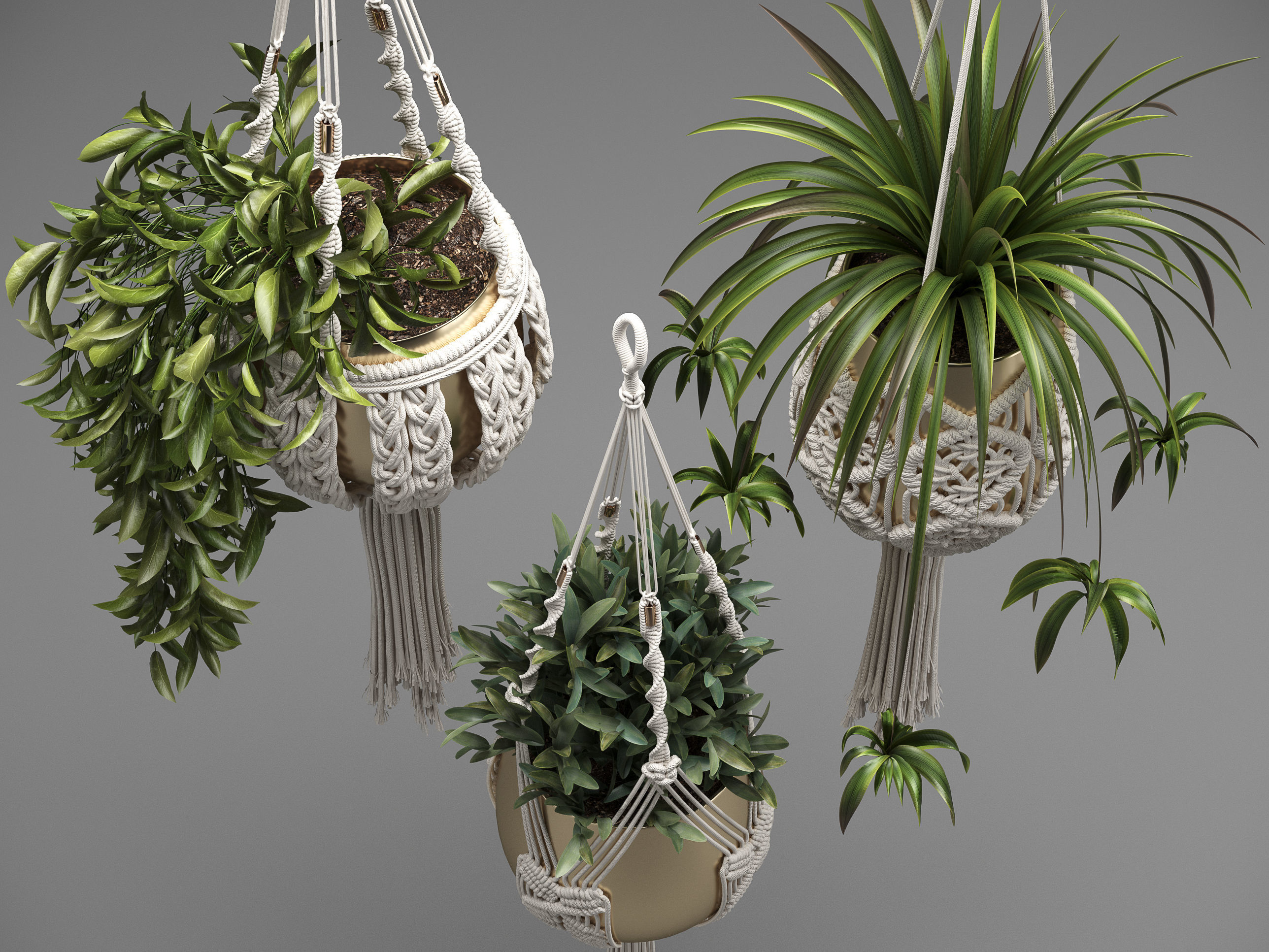 Macrame Plants Hanger 3D model | CGTrader