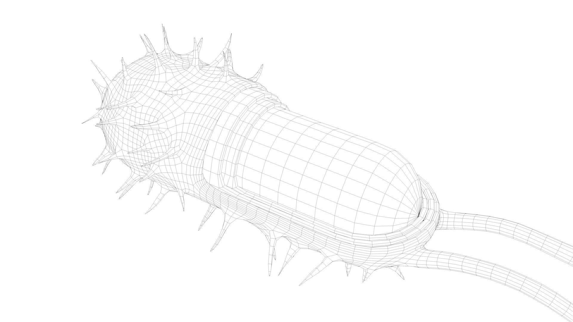 Bacterial Cell Structure 3D model | CGTrader