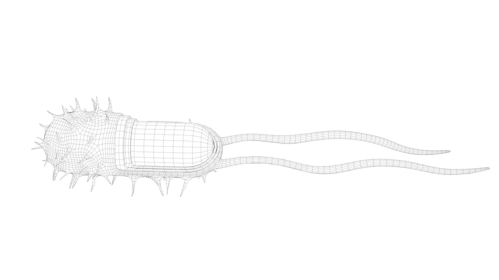 Bacterial Cell Structure 3D model | CGTrader