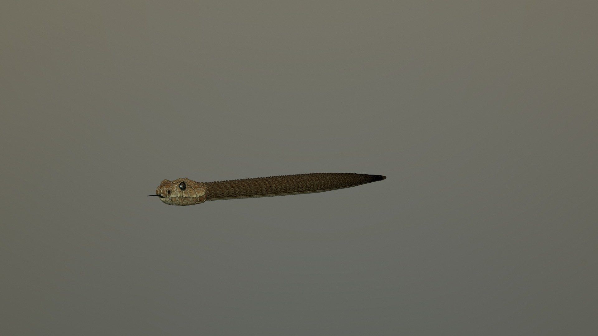 Realistic Rattlesnake Model statue of snake 3D model rigged | CGTrader