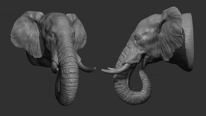 Elephant head 3D model 3D printable | CGTrader