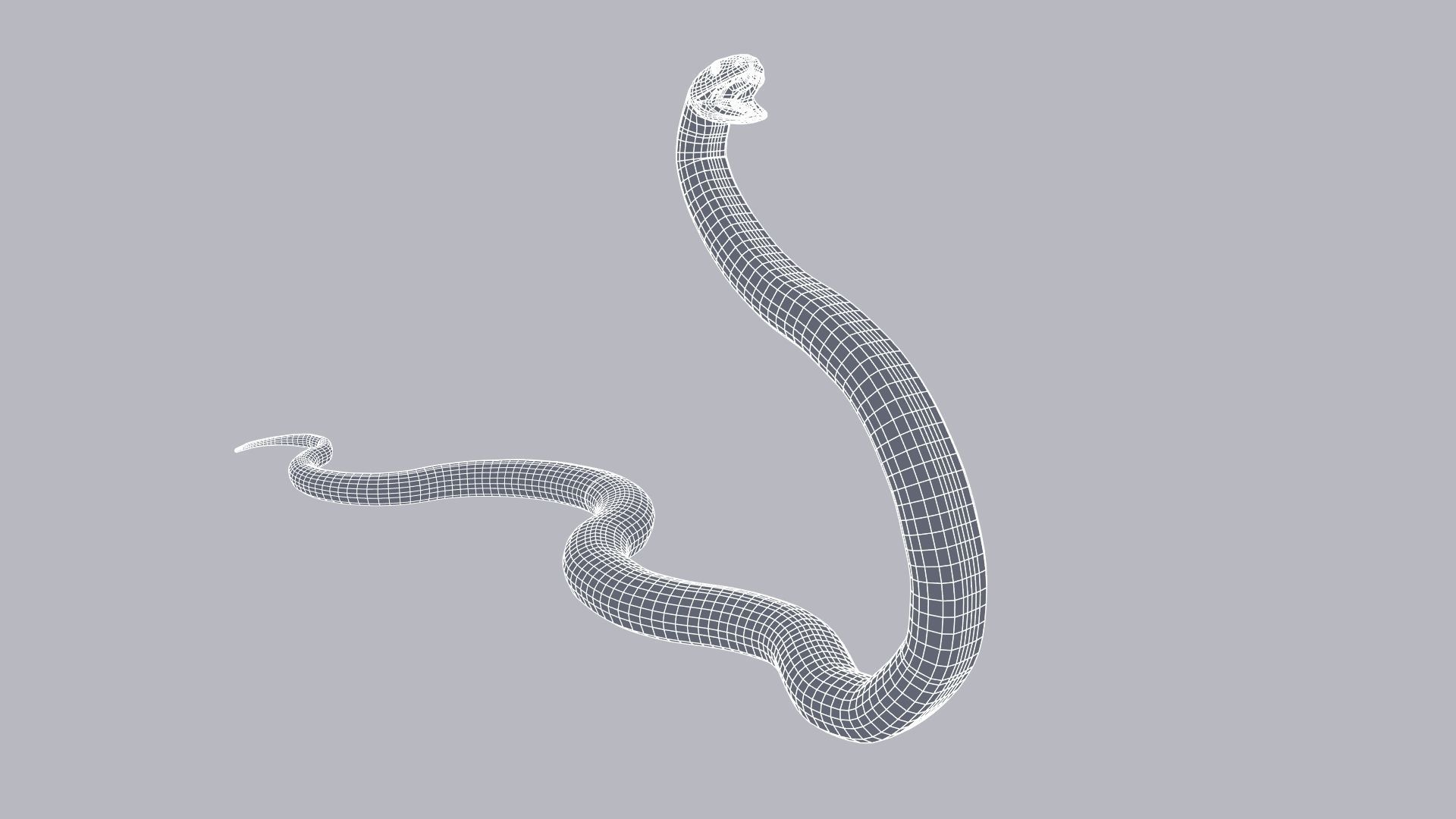 3D model Eastern Coral Snake - Static Poses VR / AR / low-poly | CGTrader