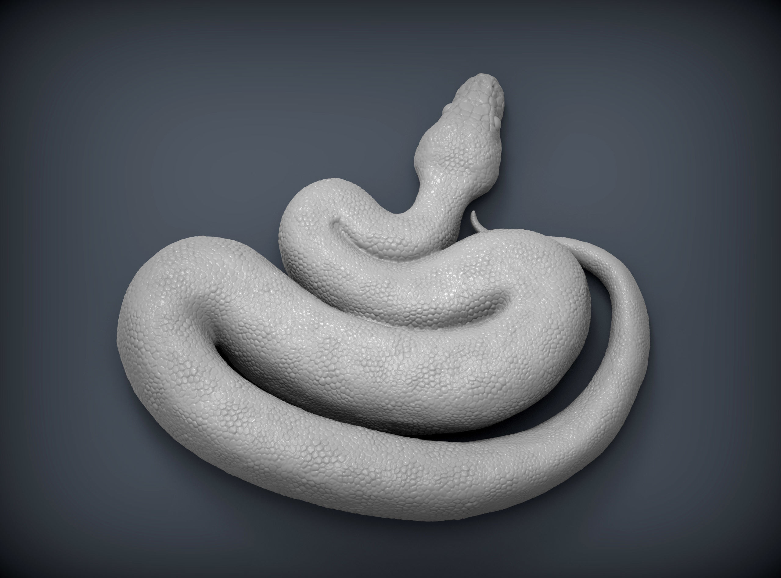 Ball Pythons 3D model 3D printable | CGTrader