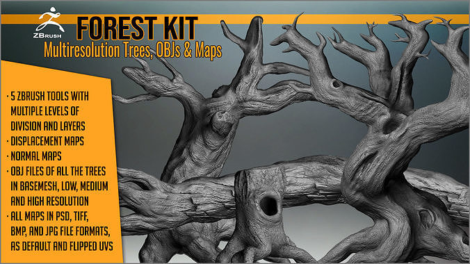 Forest Kit Multiresolution Trees OBJs and Maps 3D model | CGTrader