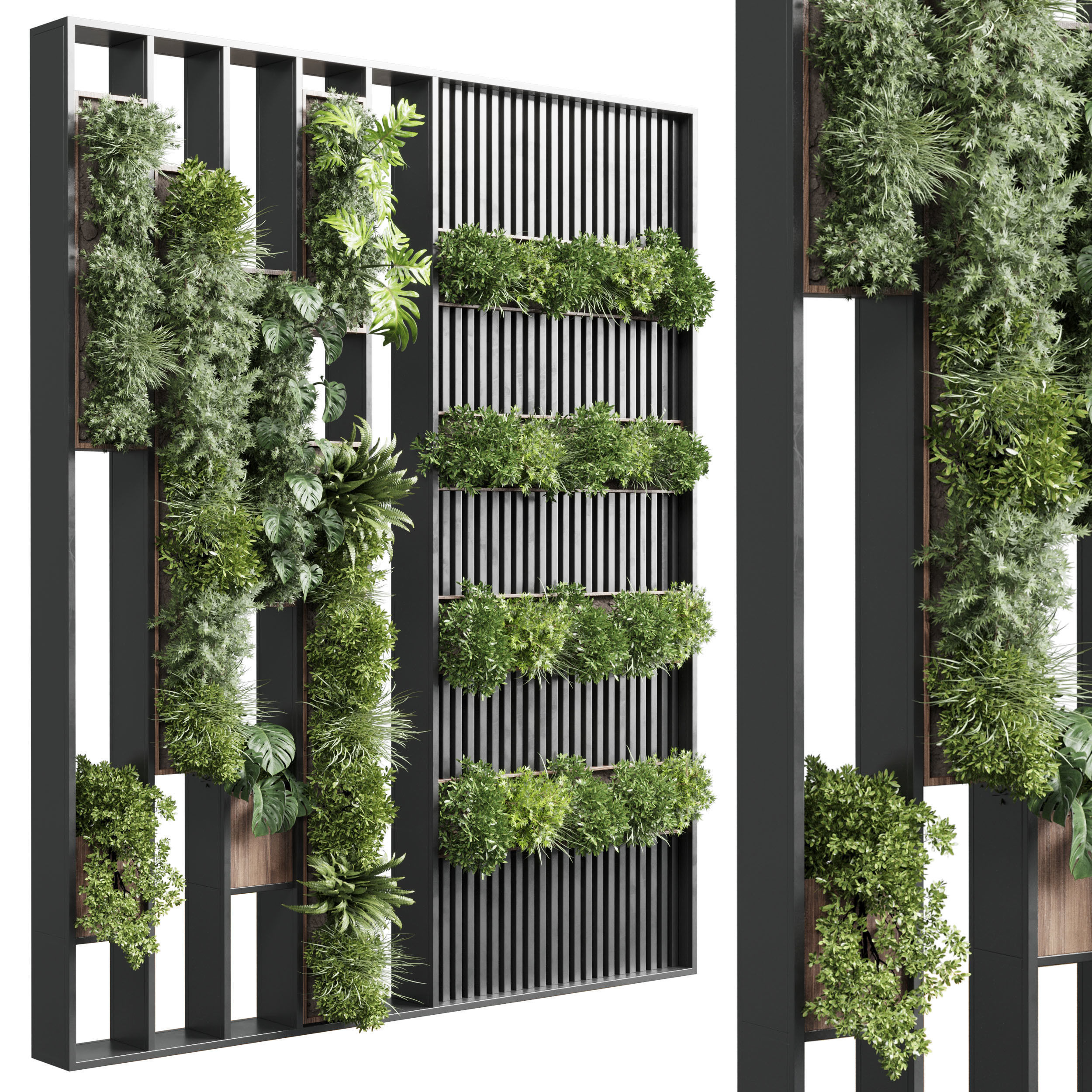3D model plants set partition in wooden frame Vertical graden 46 VR ...