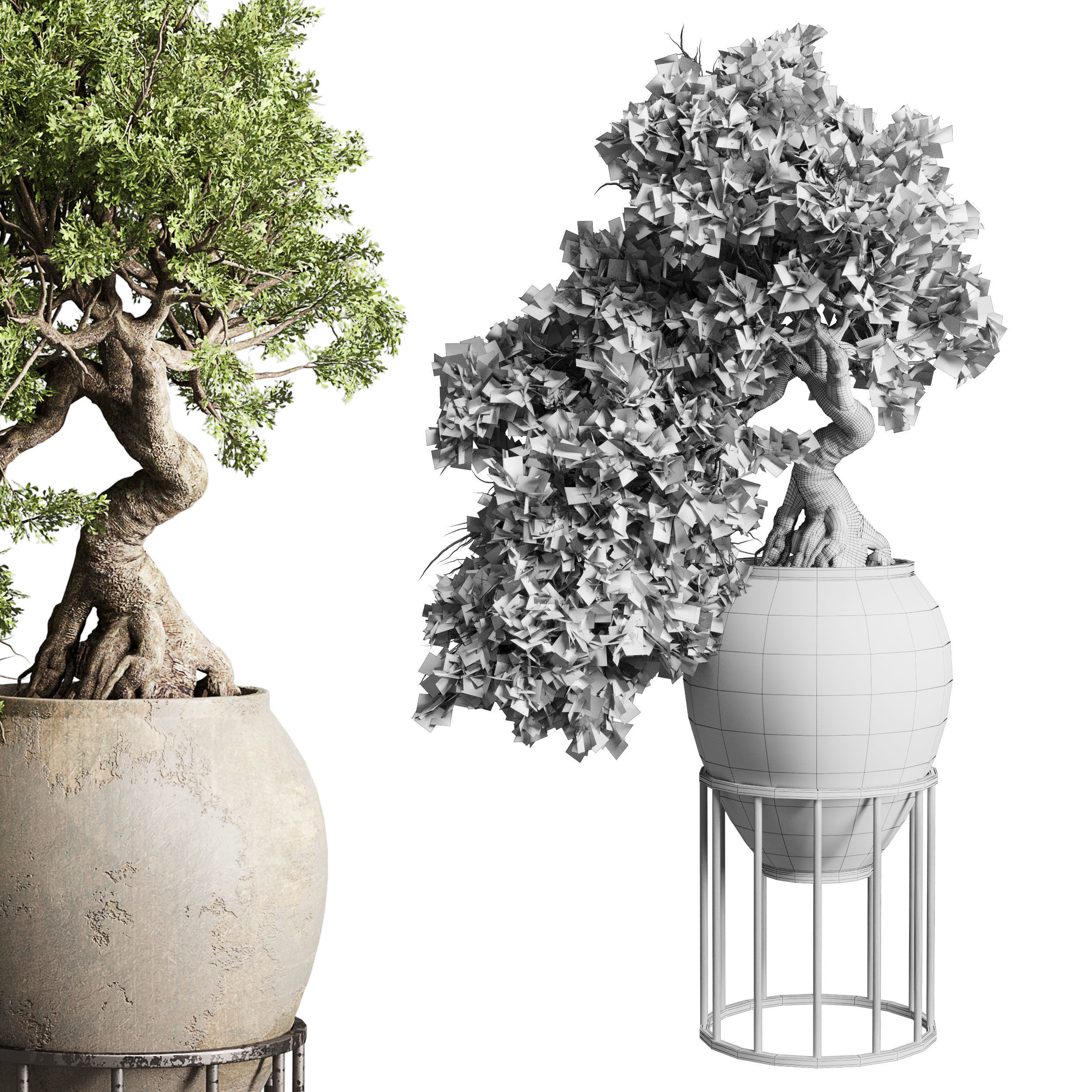 3D model Bonsai tree in an old earthenware vase indoor plant 343 VR ...