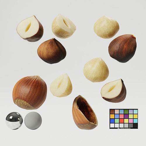 Hazelnuts - Var02 3D model | CGTrader