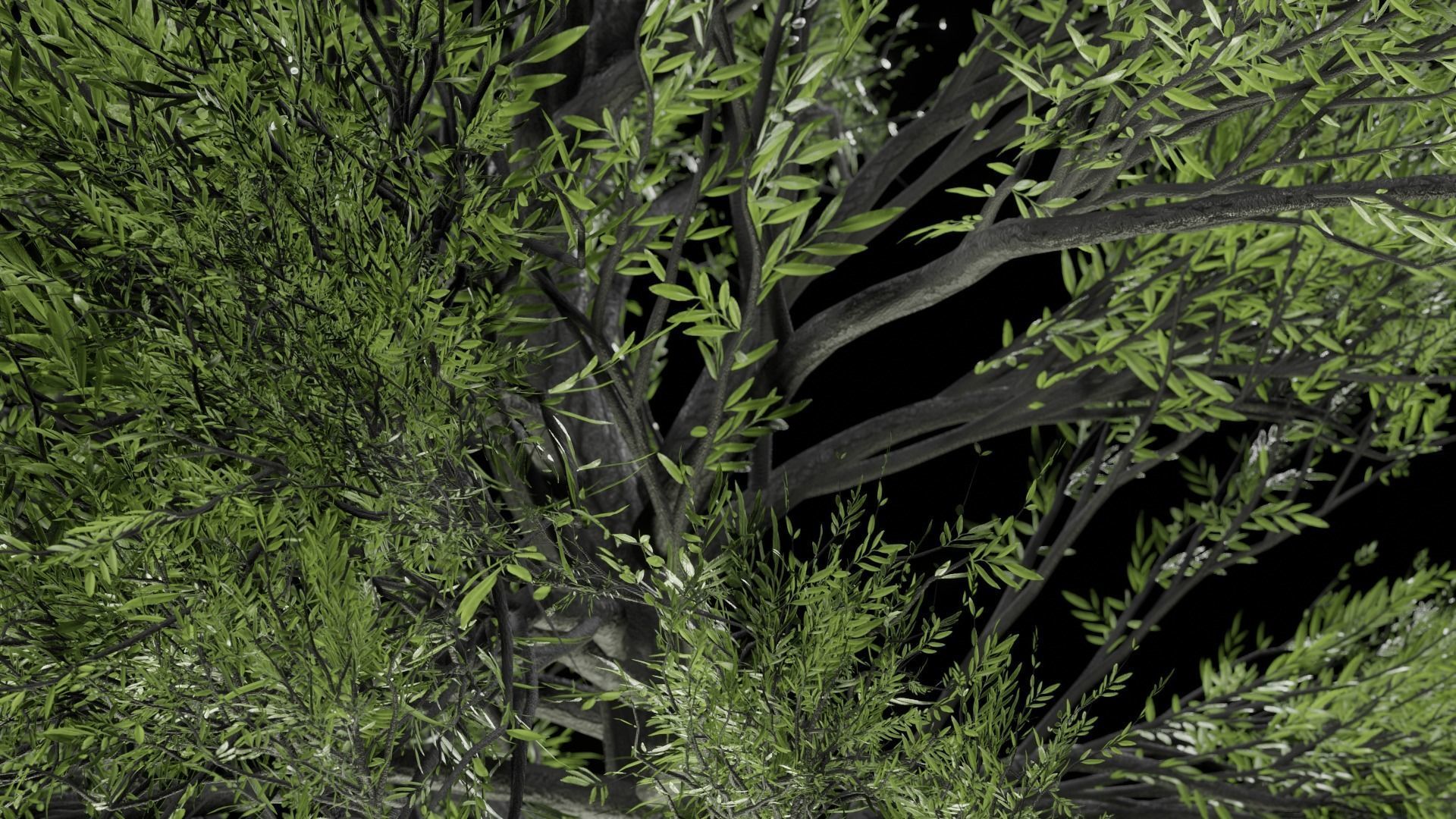 Procedural Tree 3D model | CGTrader