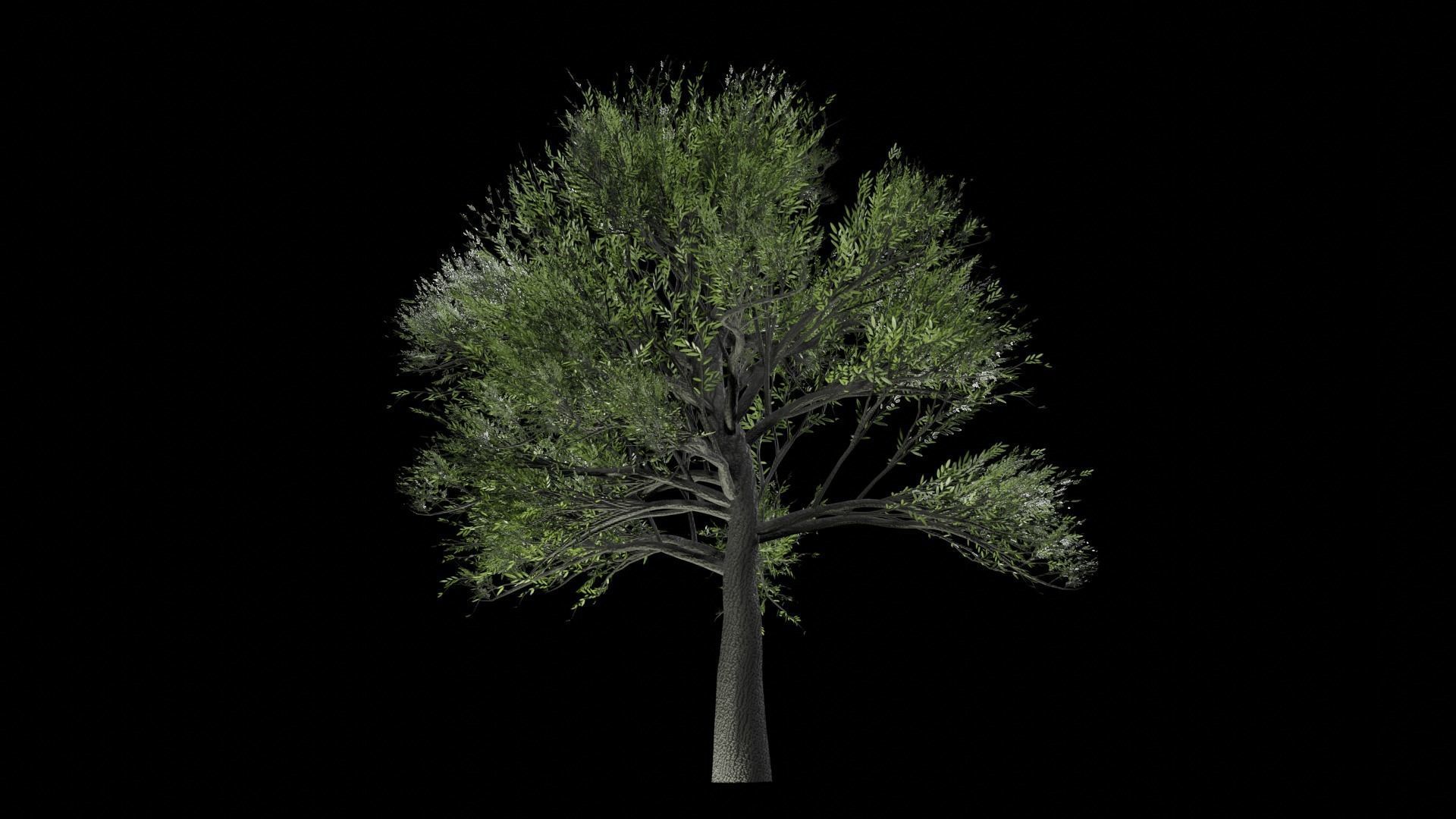 Procedural Tree 3D model | CGTrader