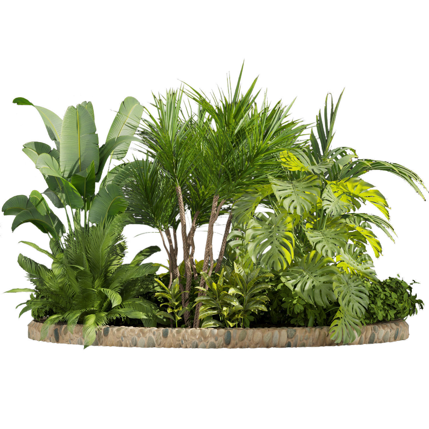 Collection plant vol 450 - outdoor - garden - leaf 3D model | CGTrader