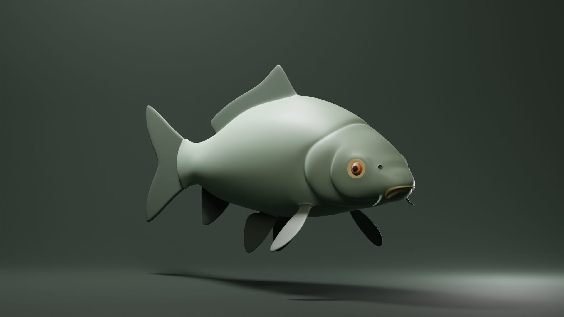 3D model Carp Fish Base Mesh VR / AR / low-poly | CGTrader
