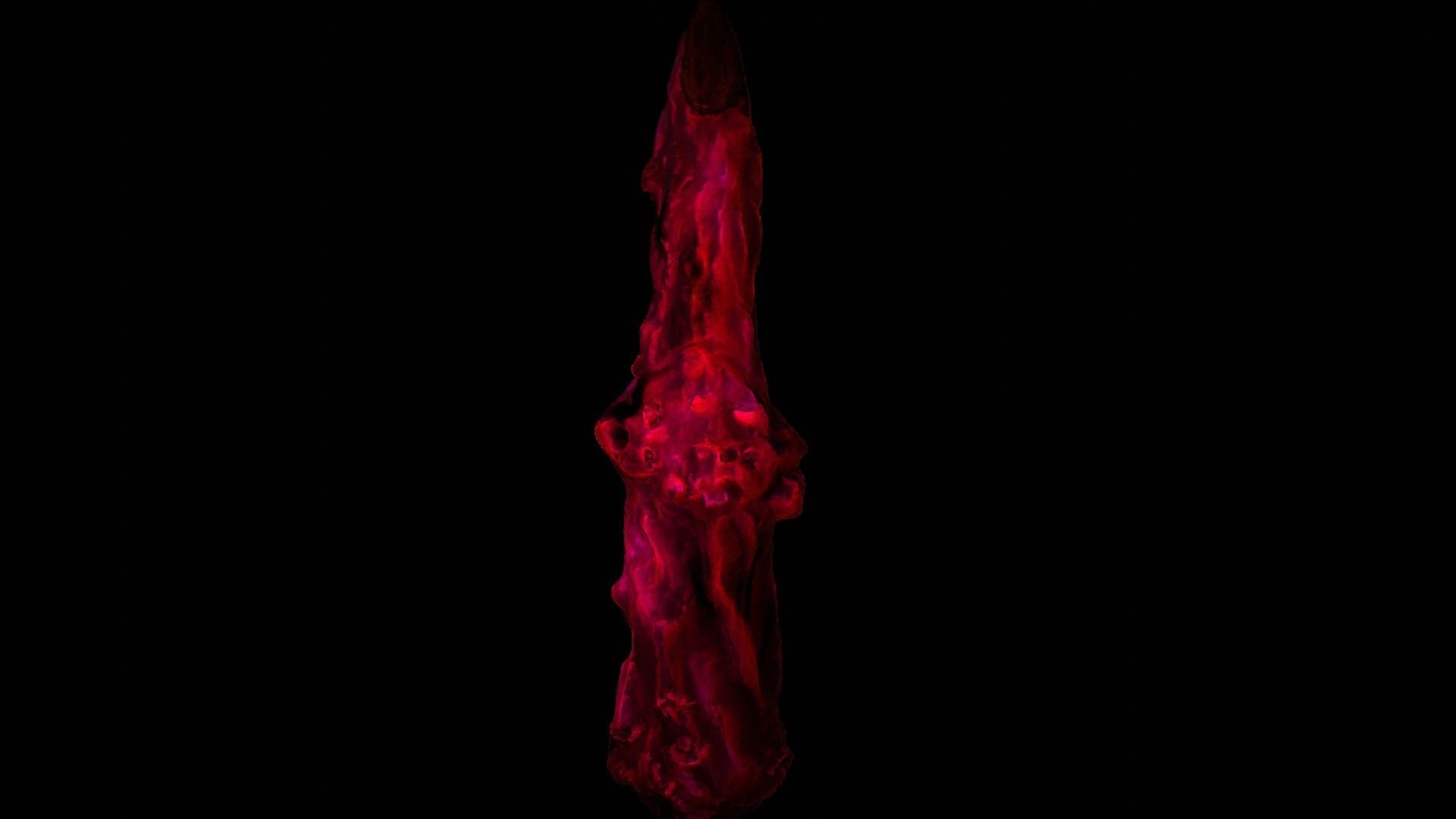 Sukuna Finger 3D Model Jujutsu kaisen 3D model | CGTrader