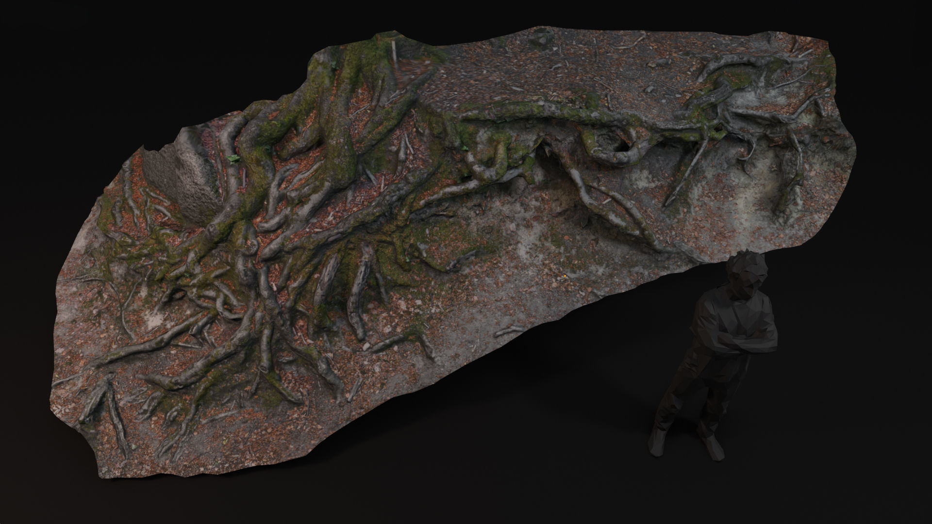 3D model Beech forest ground - 2 of 6 - scan PBR Game ready VR / AR / low-poly | CGTrader