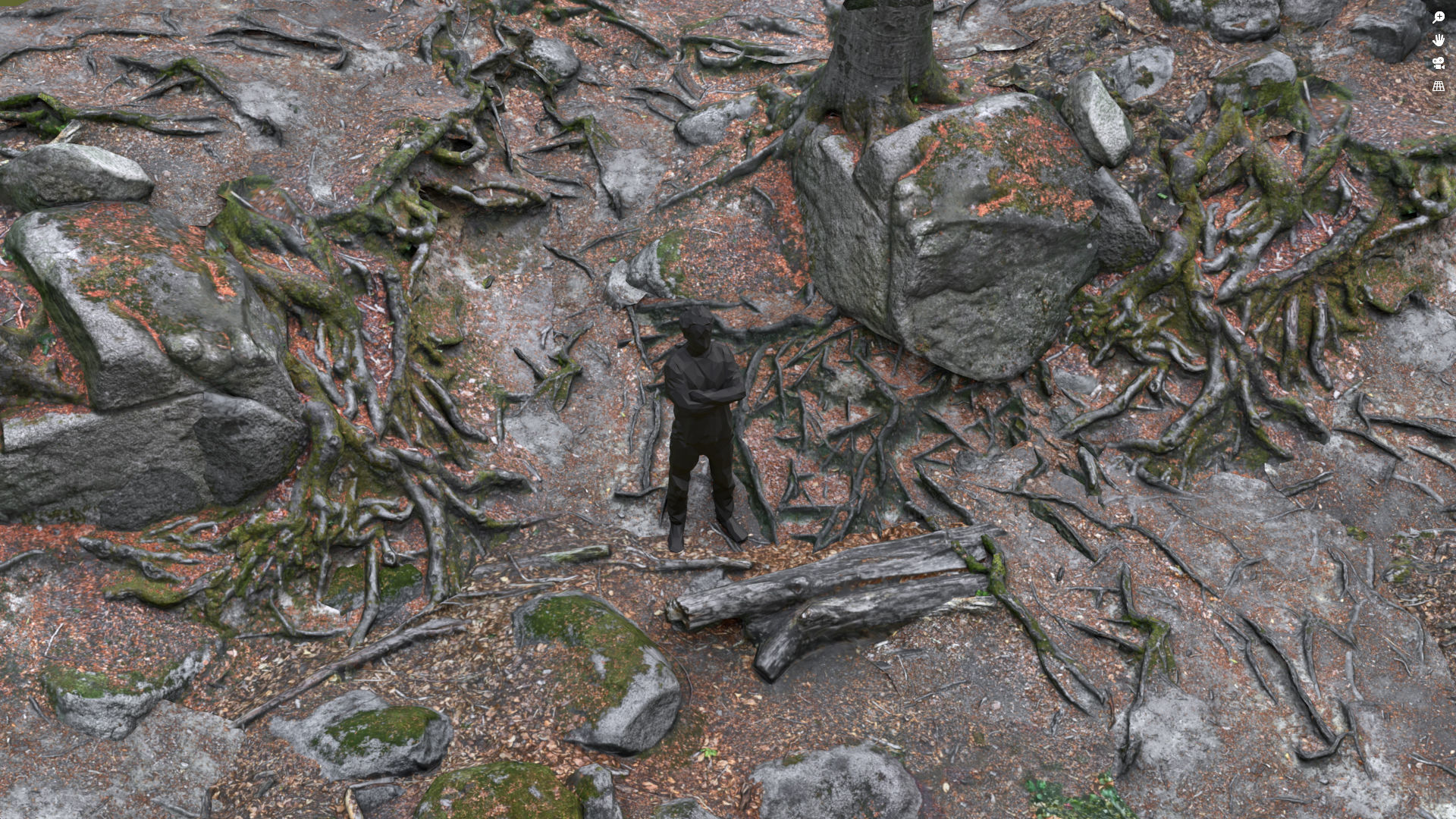 Beech forest ground modules - lwpoly PBR Game ready 3D Model Collection | CGTrader