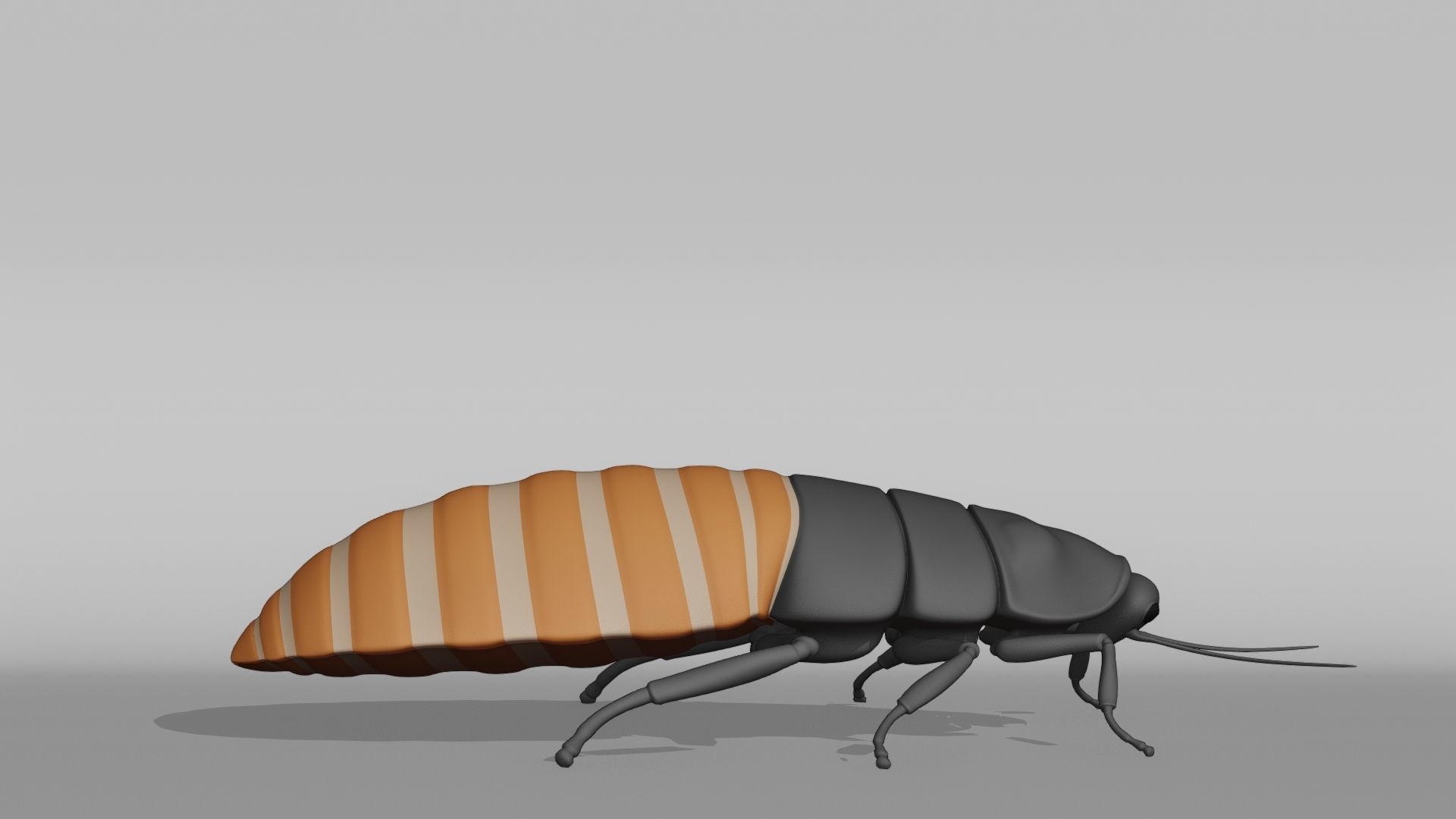 3D model Cockroach Base Mesh VR / AR / low-poly | CGTrader