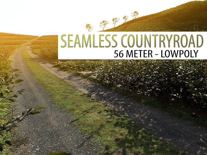 3D model seamless countryroad - 56meter and lowpoly VR / AR / low-poly ...