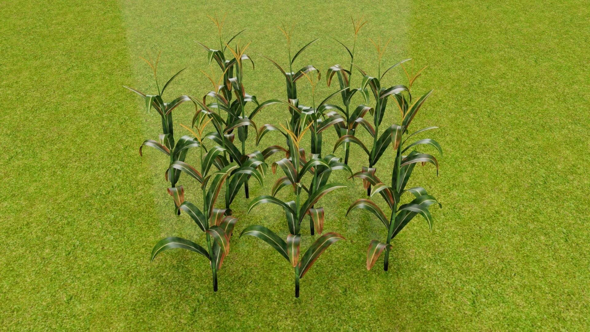 3D model corn plant VR / AR / low-poly | CGTrader