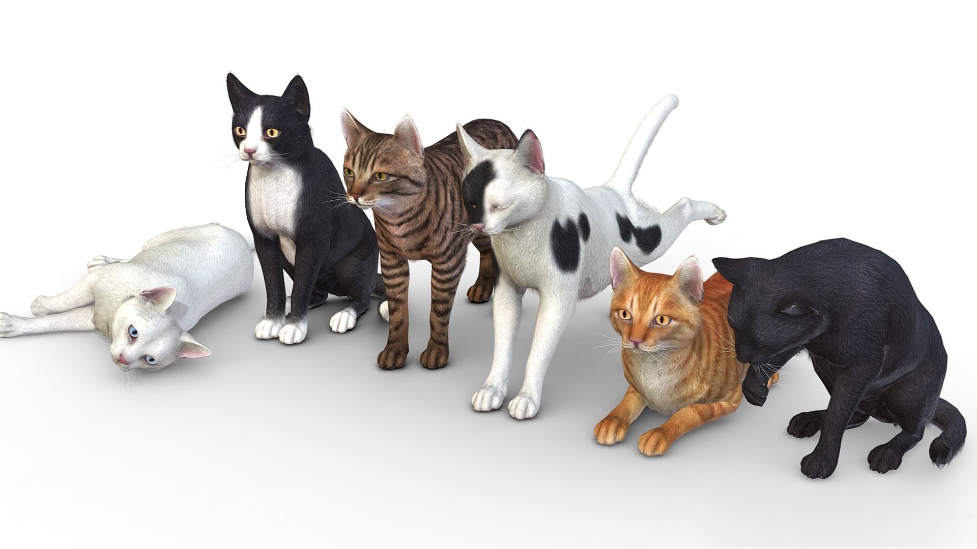 3D model Cats - Simple VR / AR / low-poly | CGTrader