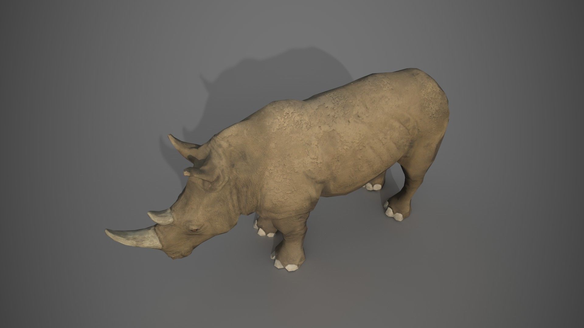 3D model African Rhinoceros VR / AR / low-poly | CGTrader