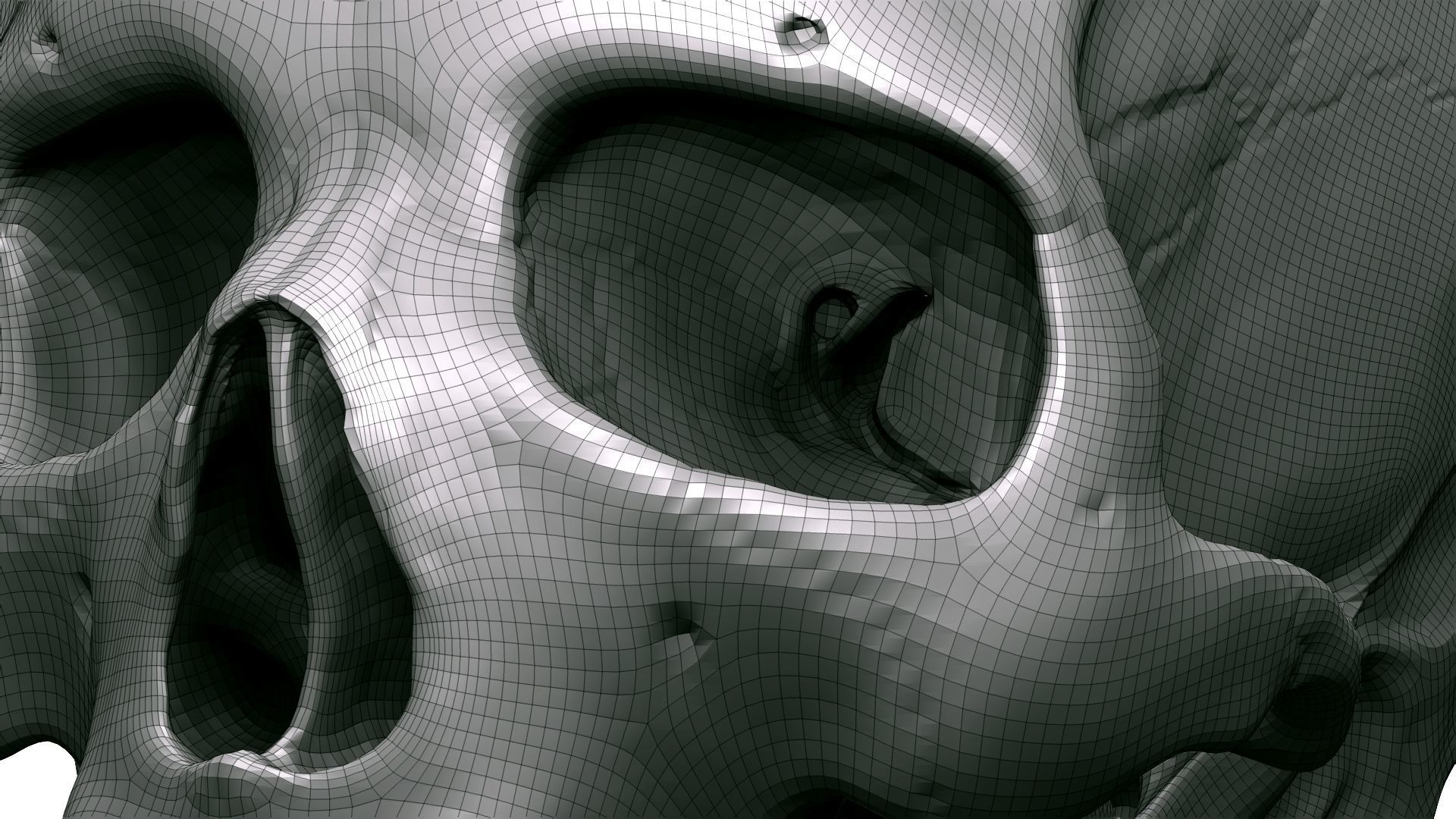 3D Detailed High Poly Human Skull 3D model | CGTrader