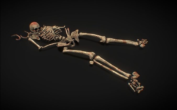 3D model Skull Bones Remains Skeleton Laying corpse VR / AR / low-poly ...