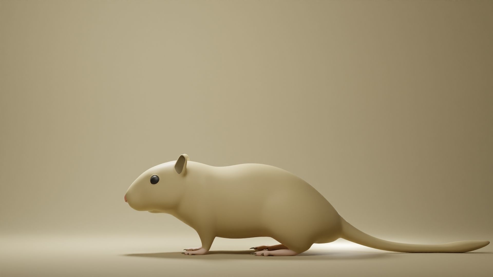 3D model Gerbil Base Mesh VR / AR / low-poly | CGTrader