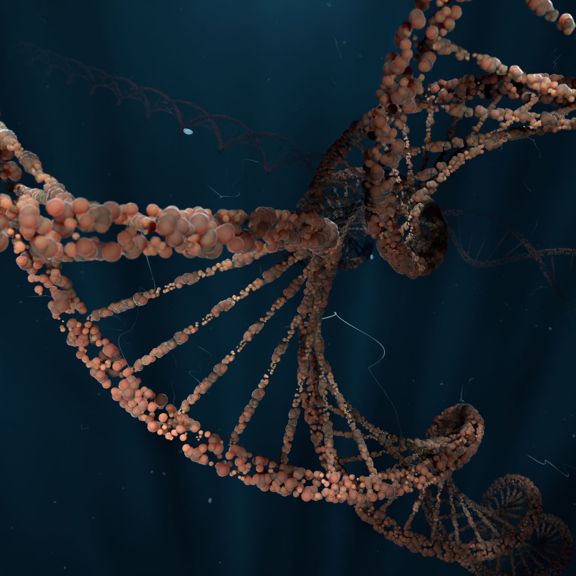 animated DNA with Blender Geometry Node 3D model animated | CGTrader