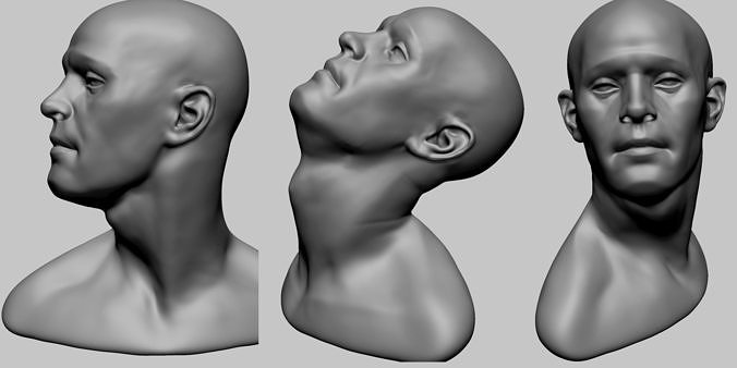 Male Head Movement 3D model | CGTrader