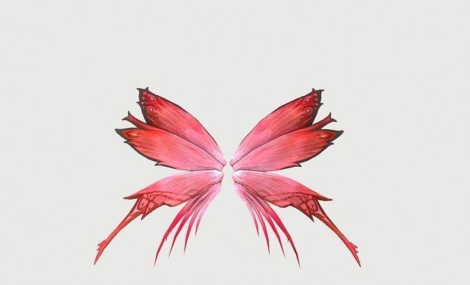 3D model Butterfly Wing VR / AR / low-poly | CGTrader