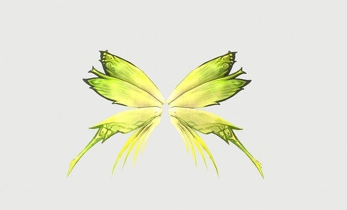 3D model Butterfly Wing VR / AR / low-poly | CGTrader